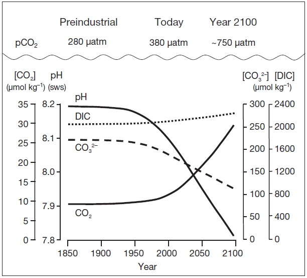 Nutrients and Ocean Acidification (OA) | Marine Institute